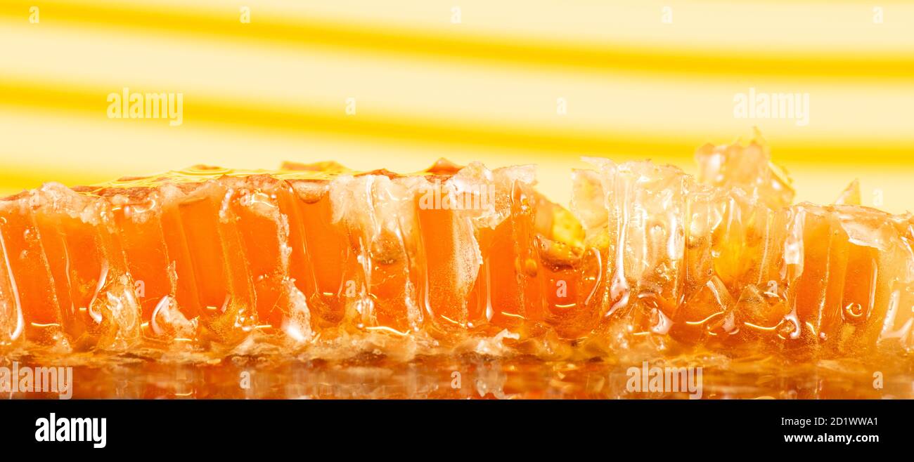 Detailed closeup macro photo of Beeswax and honey. Food background ...