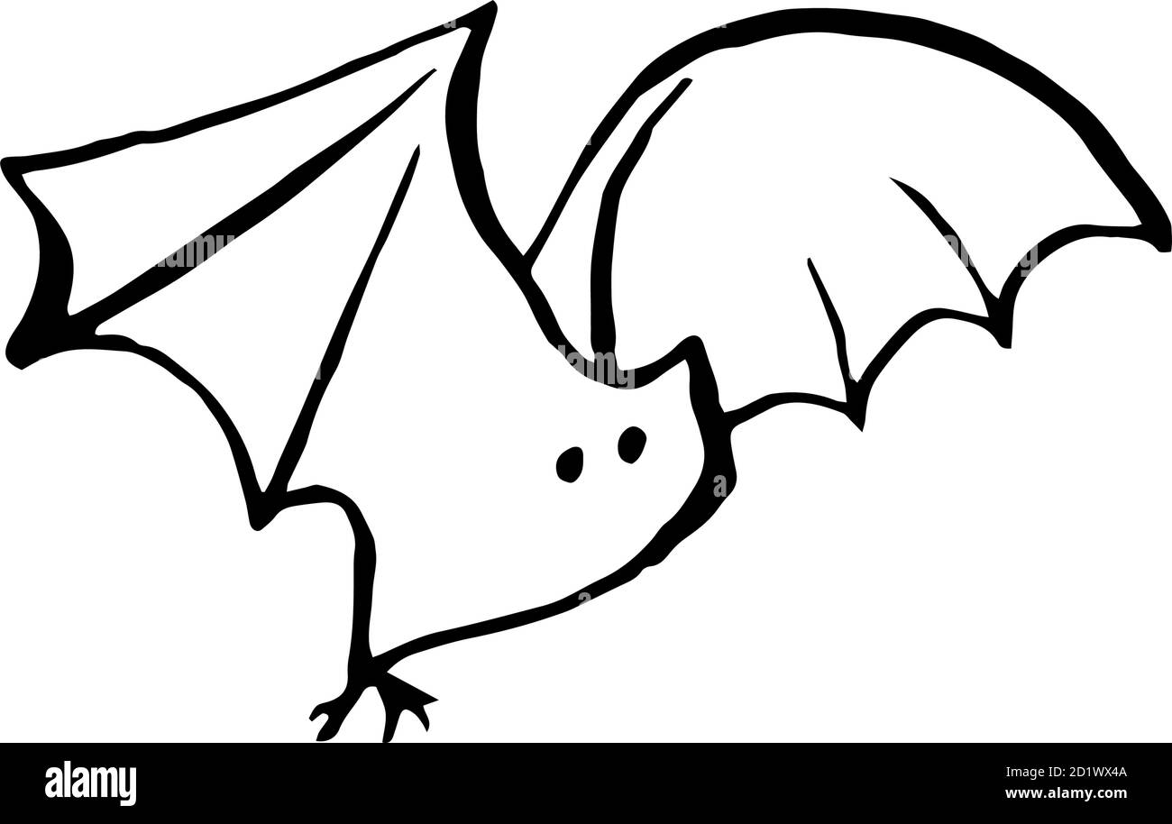 Bat bird hi-res stock photography and images - Alamy