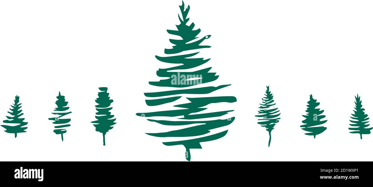 White Pine Tree Vector