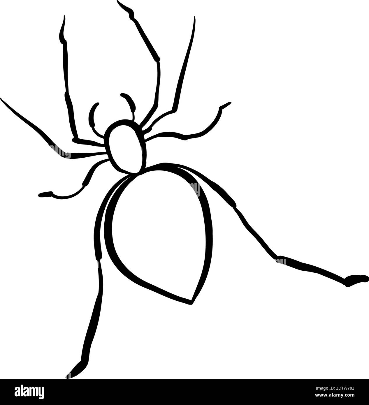 Halloween spider doodle element. Isolated vector illustration of insect ...