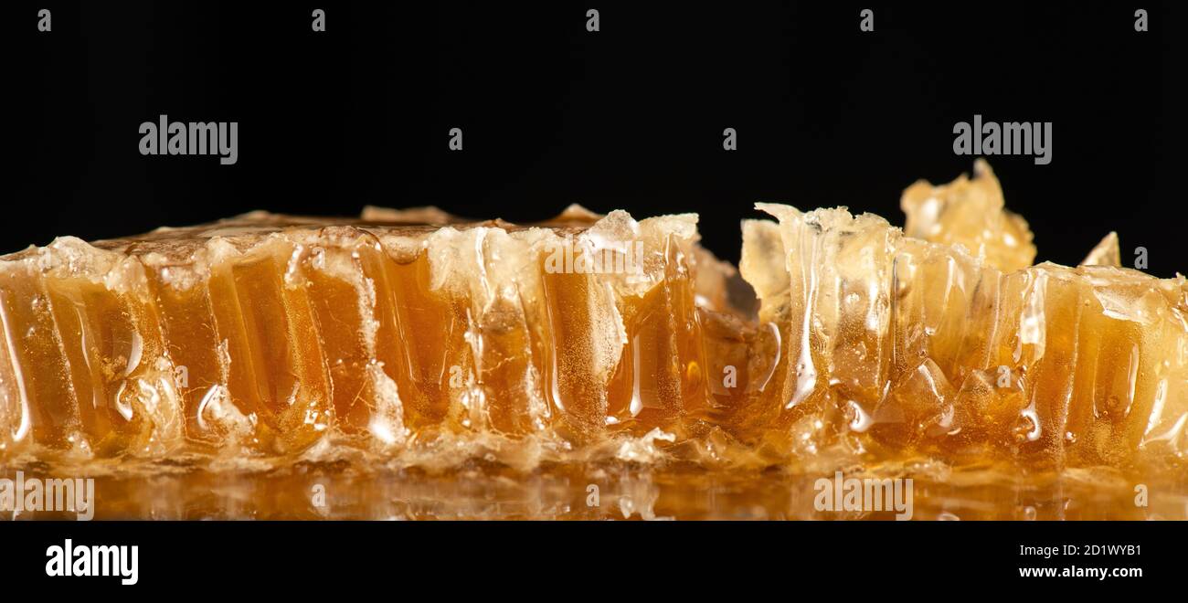 Detailed closeup macro photo of Beeswax and honey. Food background ...