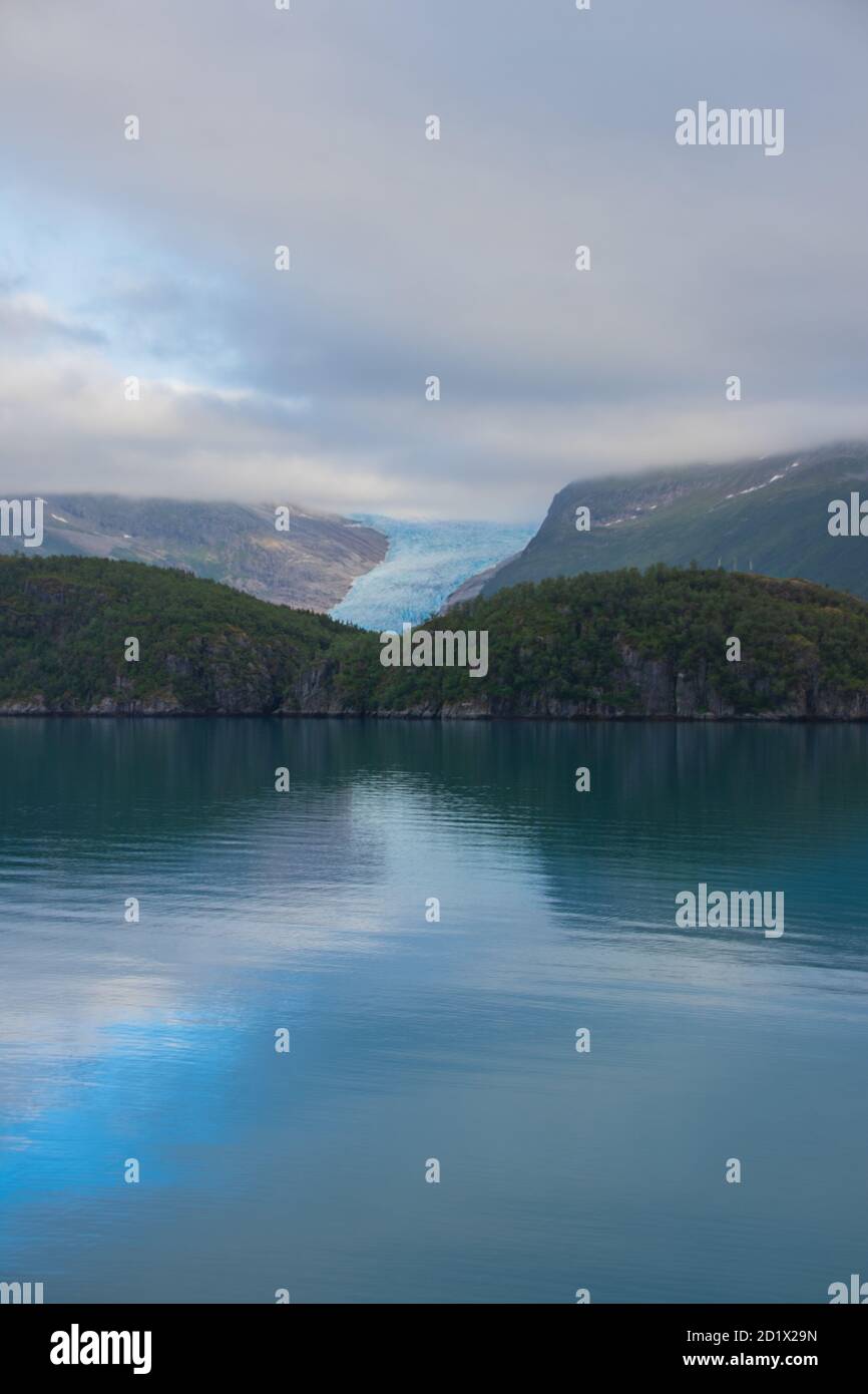 Breen trees hi-res stock photography and images - Alamy