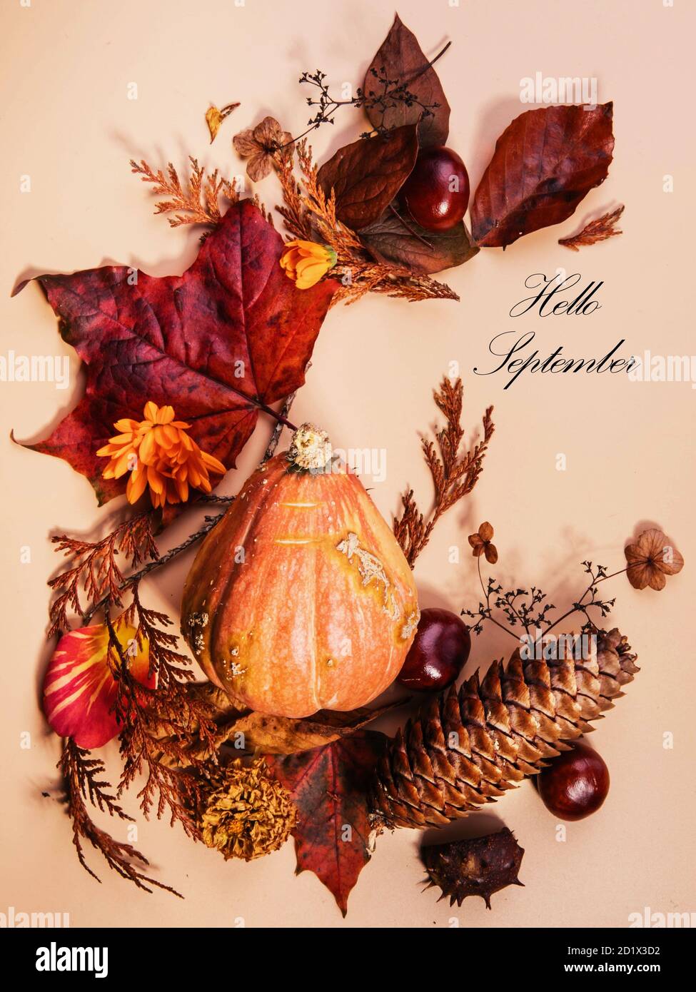 Autumn Concept Art - collection of autumnal objects including pumpkin ...