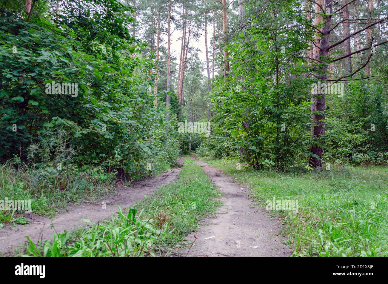 Two paths merge hi-res stock photography and images - Alamy