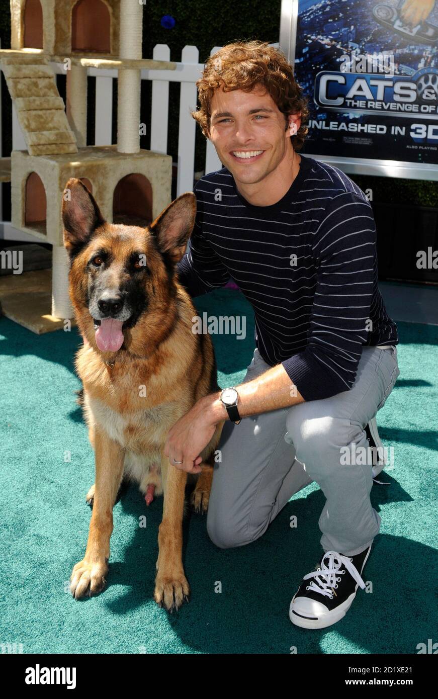James marsden cats dogs revenge hi-res stock photography and images - Alamy