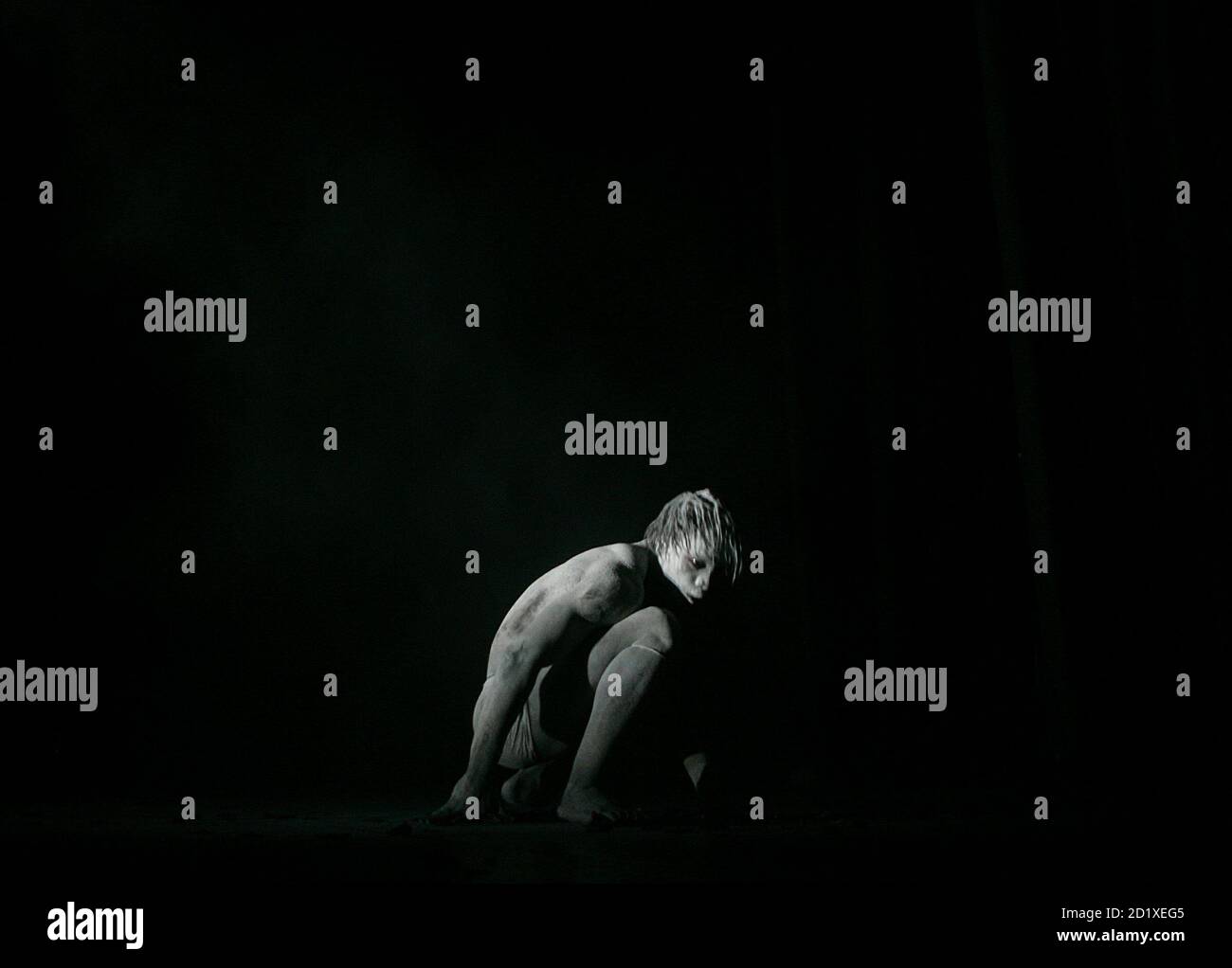 Sydney ash hi-res stock photography and images - Alamy