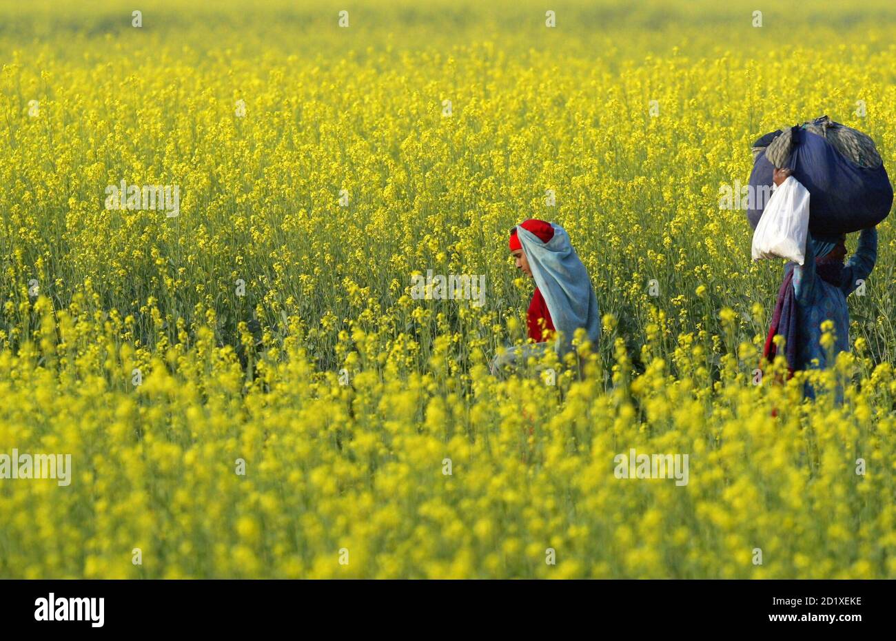 Jhajjar haryana state hi-res stock photography and images - Alamy