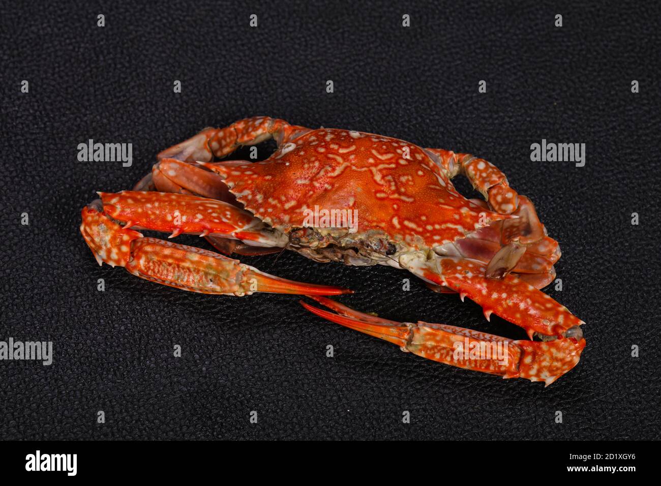 Delicous Boiled crab - ready for eat Stock Photo - Alamy