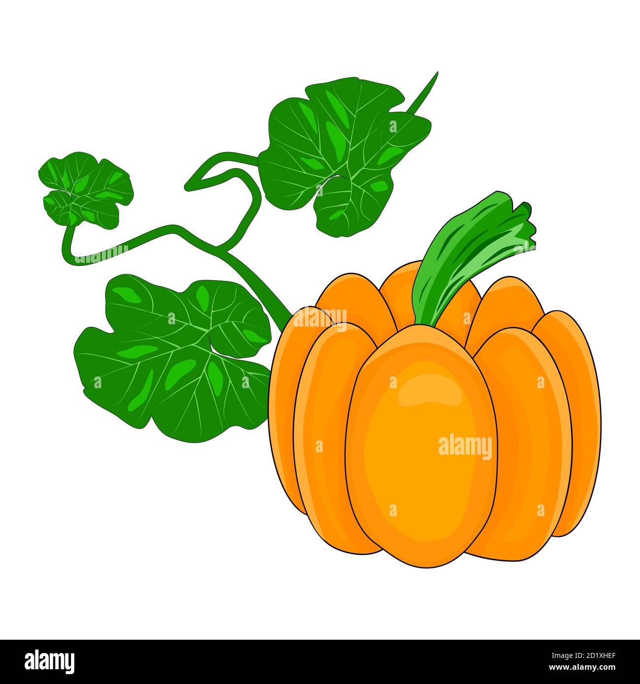 Cartoon Pumpkin Vines