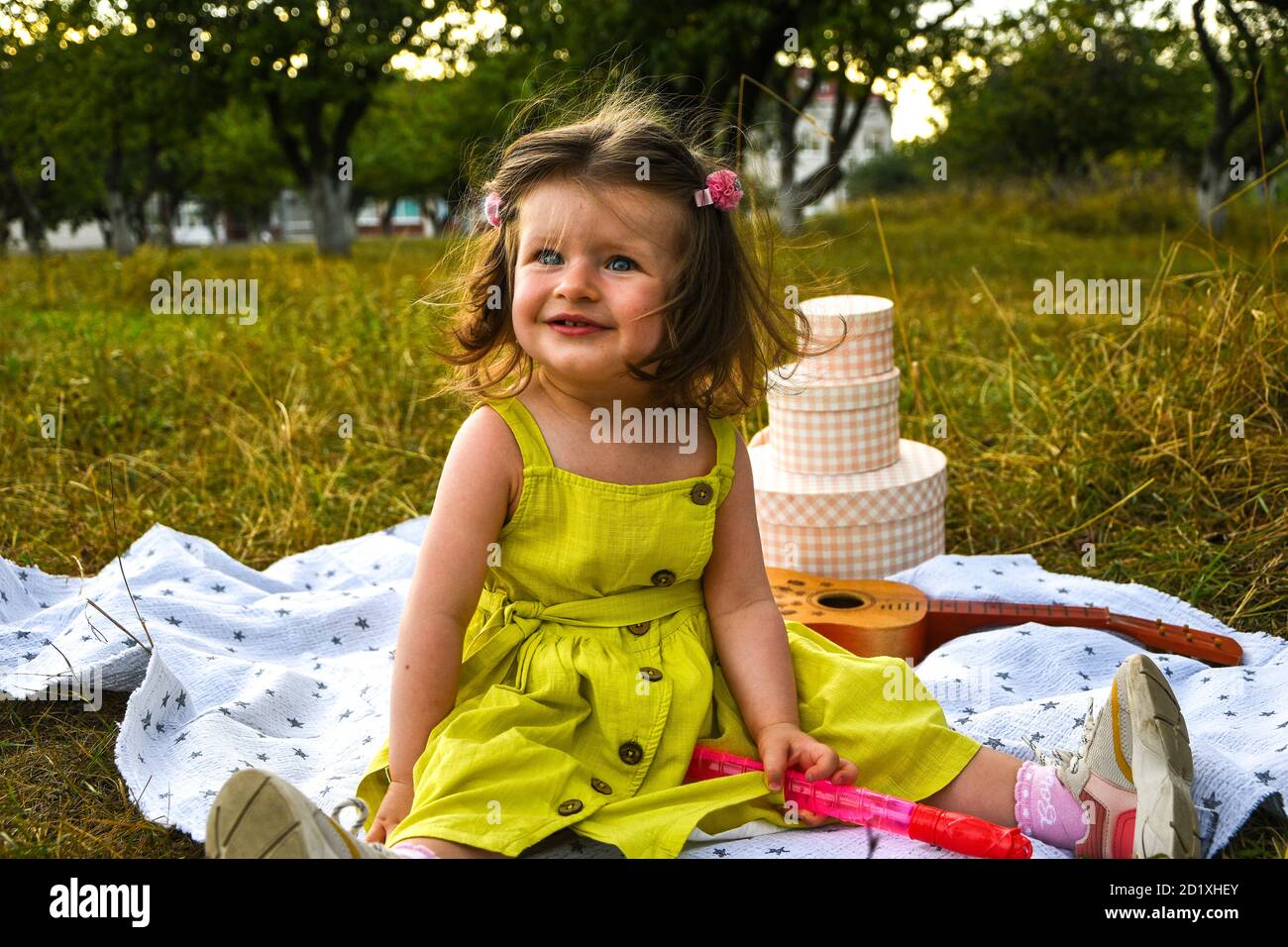 Adorable little girl on blanket summer picnic. Cute baby are playing in ...