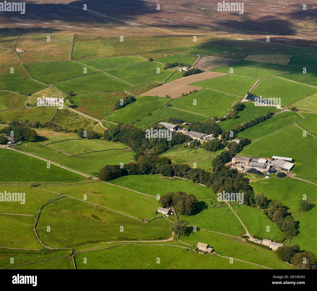 an aerial view of remote upland farms in the Yorkshire Dales, North ...