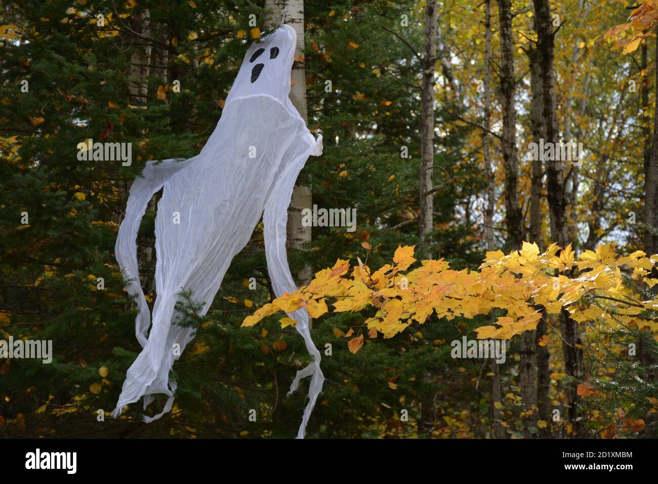 Ghosts in autumn woods hi-res stock photography and images - Alamy
