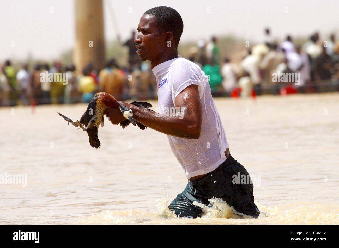 Argungu Fishing Festival Nigeria High Resolution Stock Photography and ...