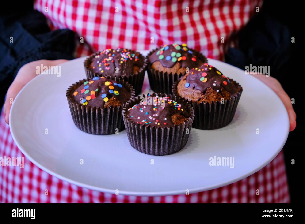 A woman in a plaid apron holding a plate. In the hands of the girl's ...