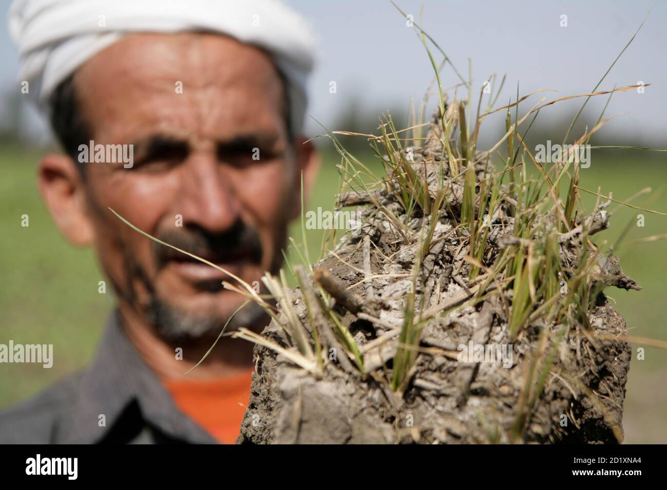 Farmer egypt drought hi-res stock photography and images - Alamy