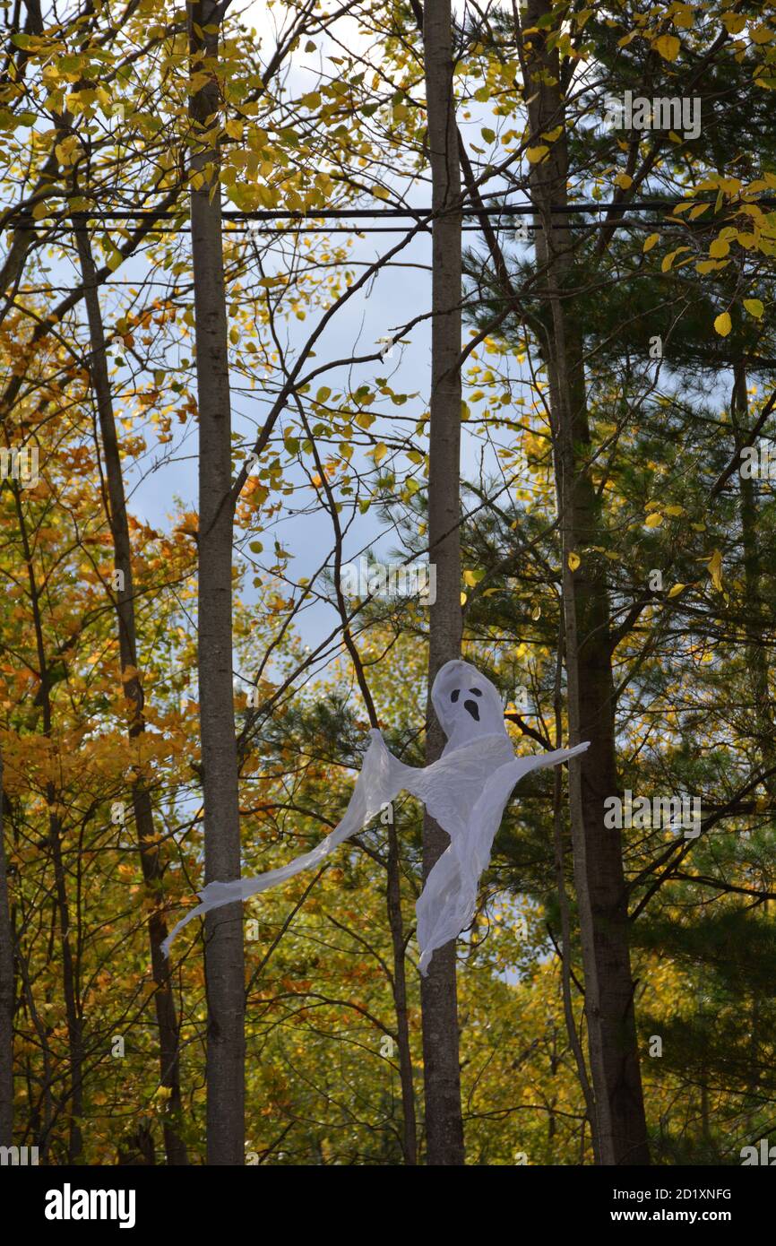 Halloween ghost in autumn forest with yellow trees Stock Photo - Alamy