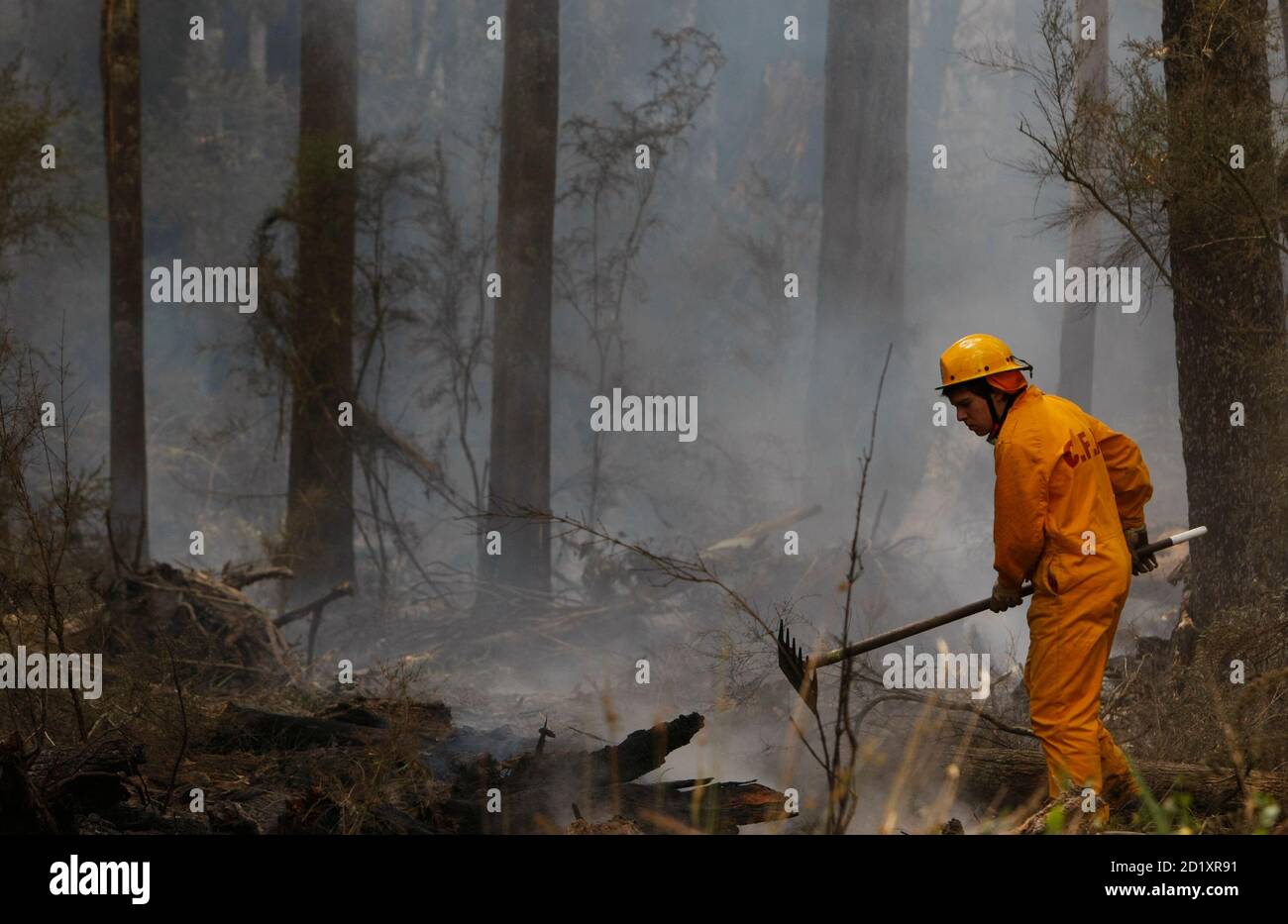 Bushfire blackened landscape hi-res stock photography and images - Alamy