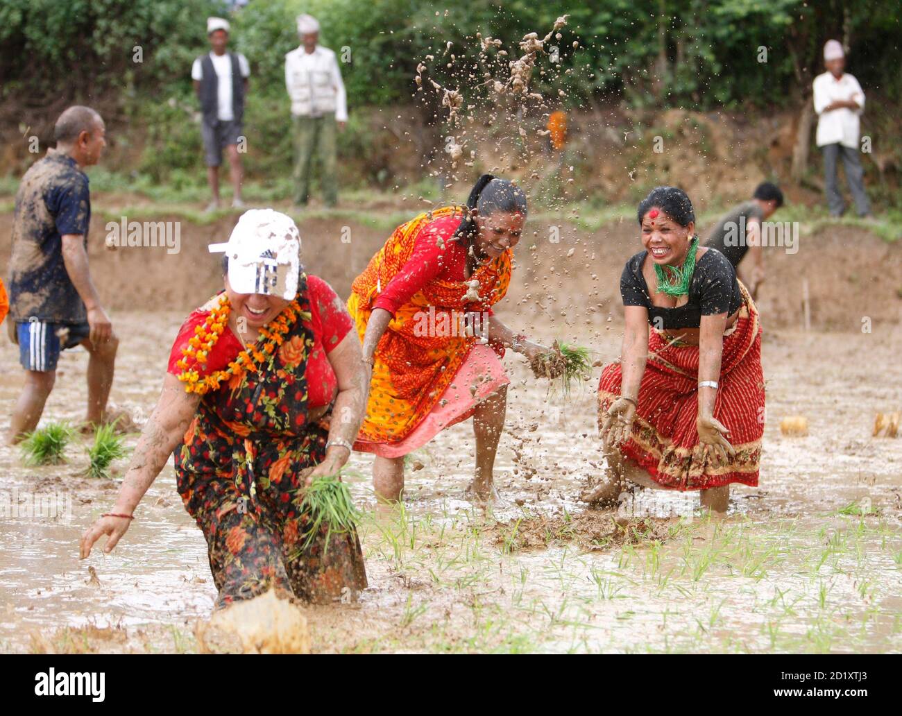 Godavari nepal hi-res stock photography and images - Alamy