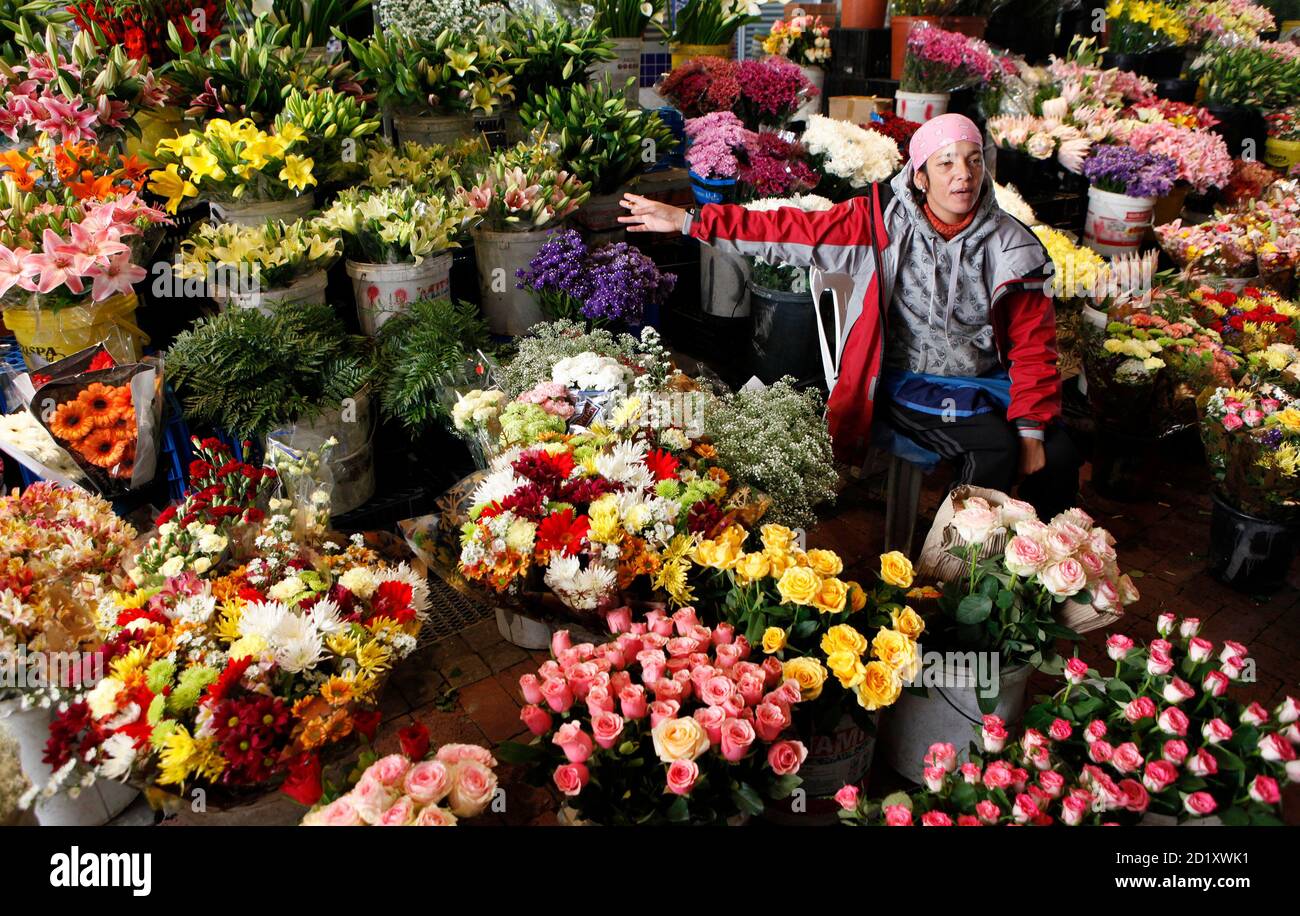 South africa cape town adderley hi-res stock photography and images - Alamy