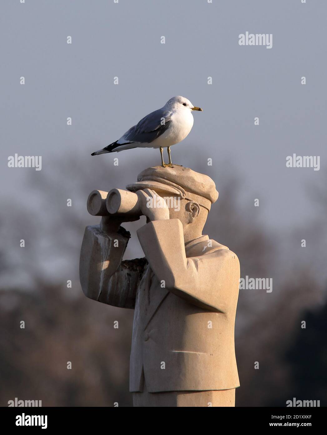 Looking at different directions hi-res stock photography and images - Alamy