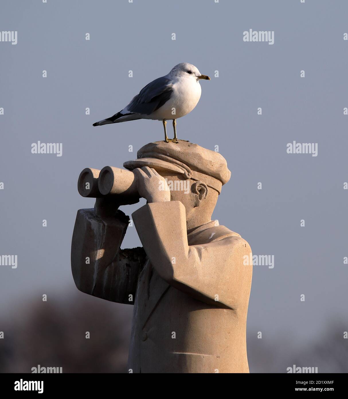 Looking at different directions hi-res stock photography and images - Alamy