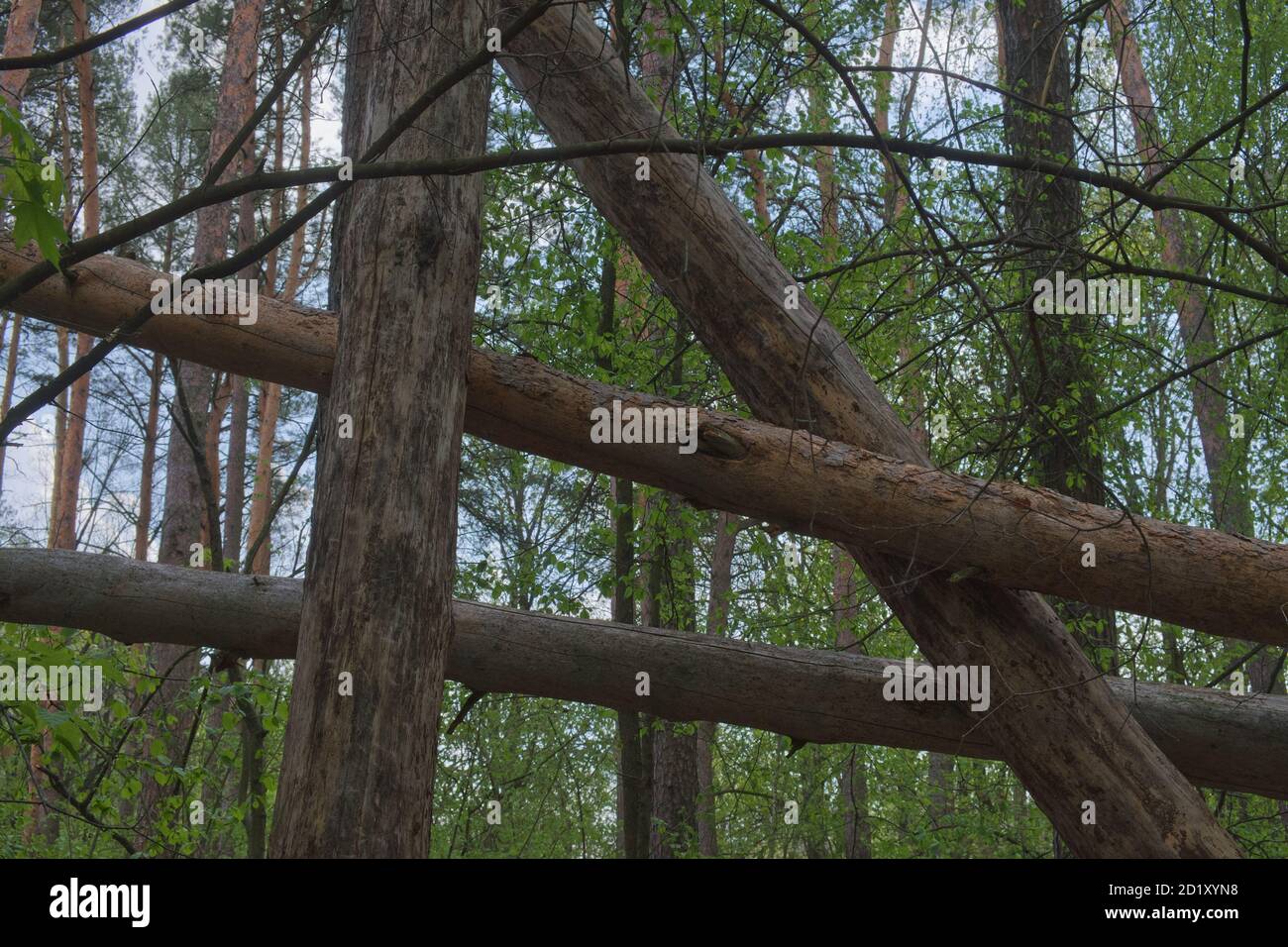 Blockage hi-res stock photography and images - Alamy