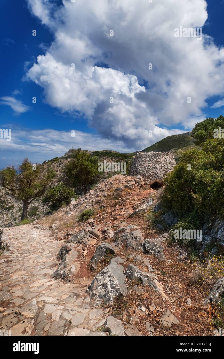 Greek or Cretan landscape, hills with spring foliage, bushes, olive ...