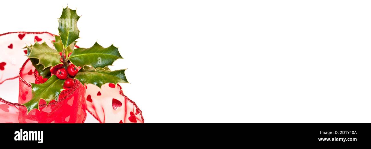 Christmas panoramic web banner with a branch of holly and red ribbon ...