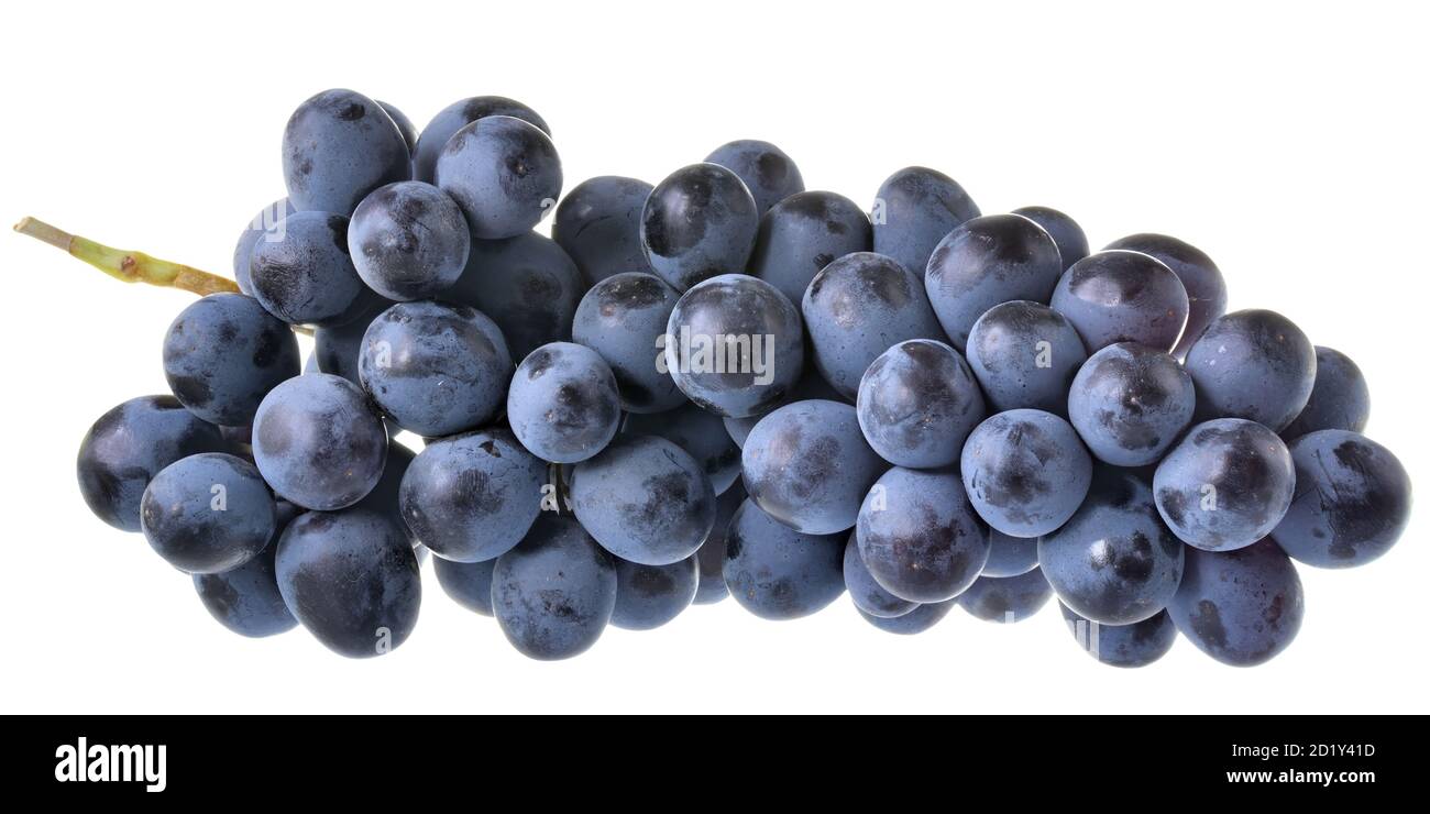Dark blue fruit grapes hi-res stock photography and images - Alamy