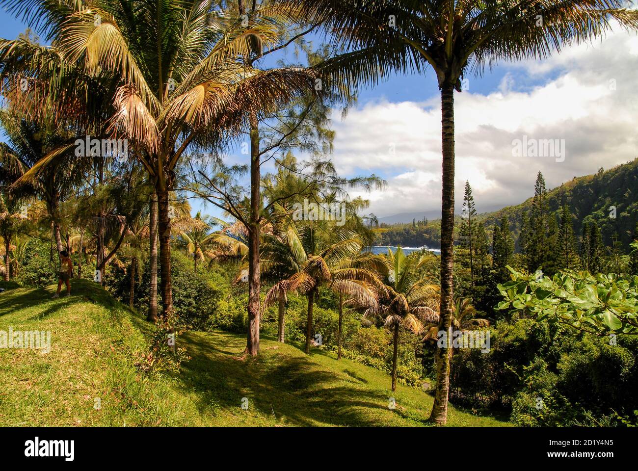 landscape of island of Reunion, France Stock Photo - Alamy