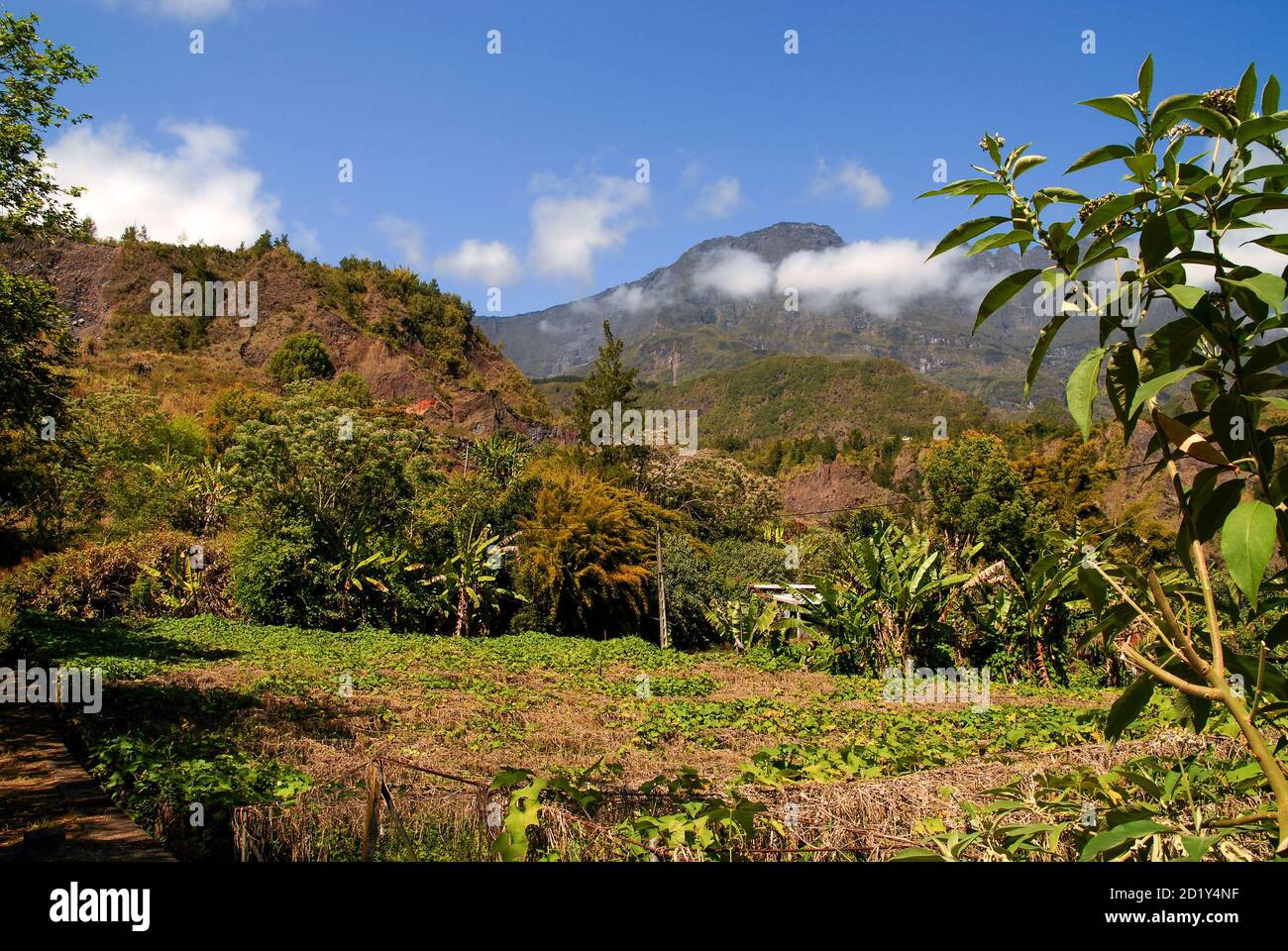 landscape of island of Reunion, France Stock Photo - Alamy