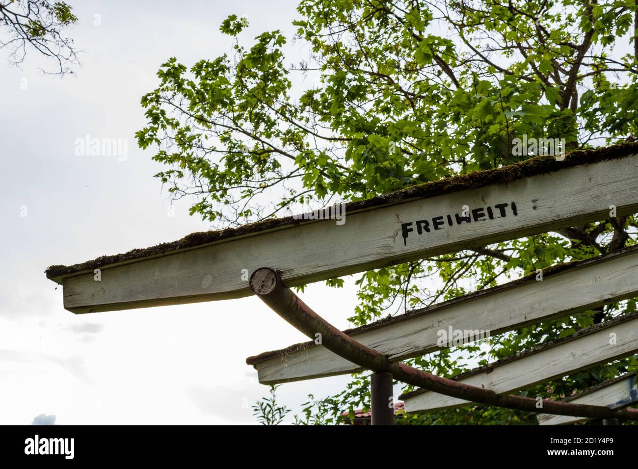 Wooden sign saying "freedom" against the sky and tree Stock Photo - Alamy