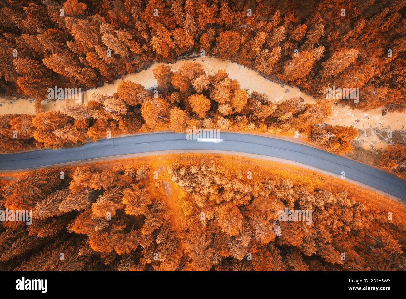 Aerial view of road in beautiful orange forest at sunset. Autumn Stock ...