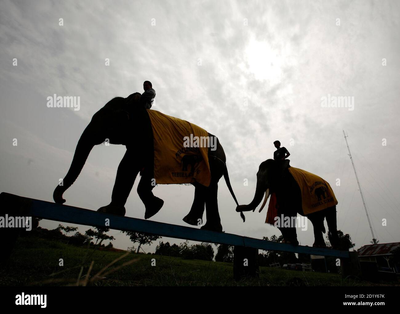 Asian elephant human conflict hi-res stock photography and images - Alamy