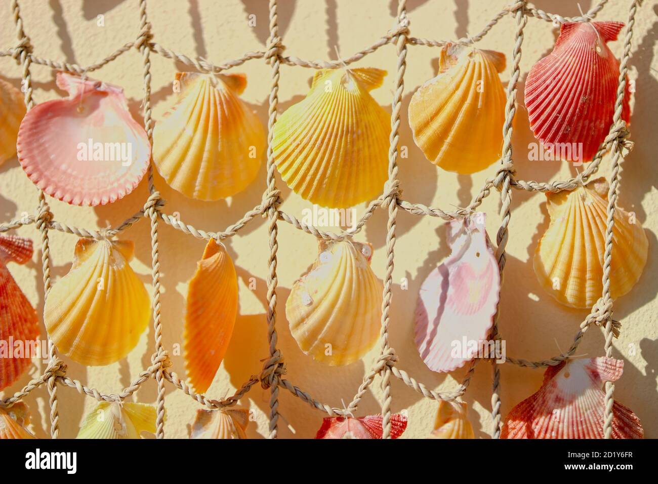 Strings seashells hi-res stock photography and images - Alamy