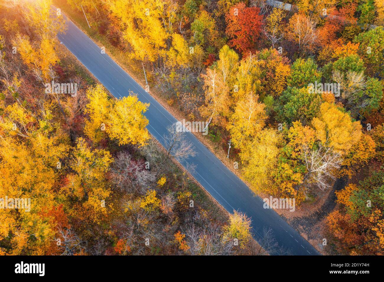 Beautiful forest view hi-res stock photography and images - Alamy