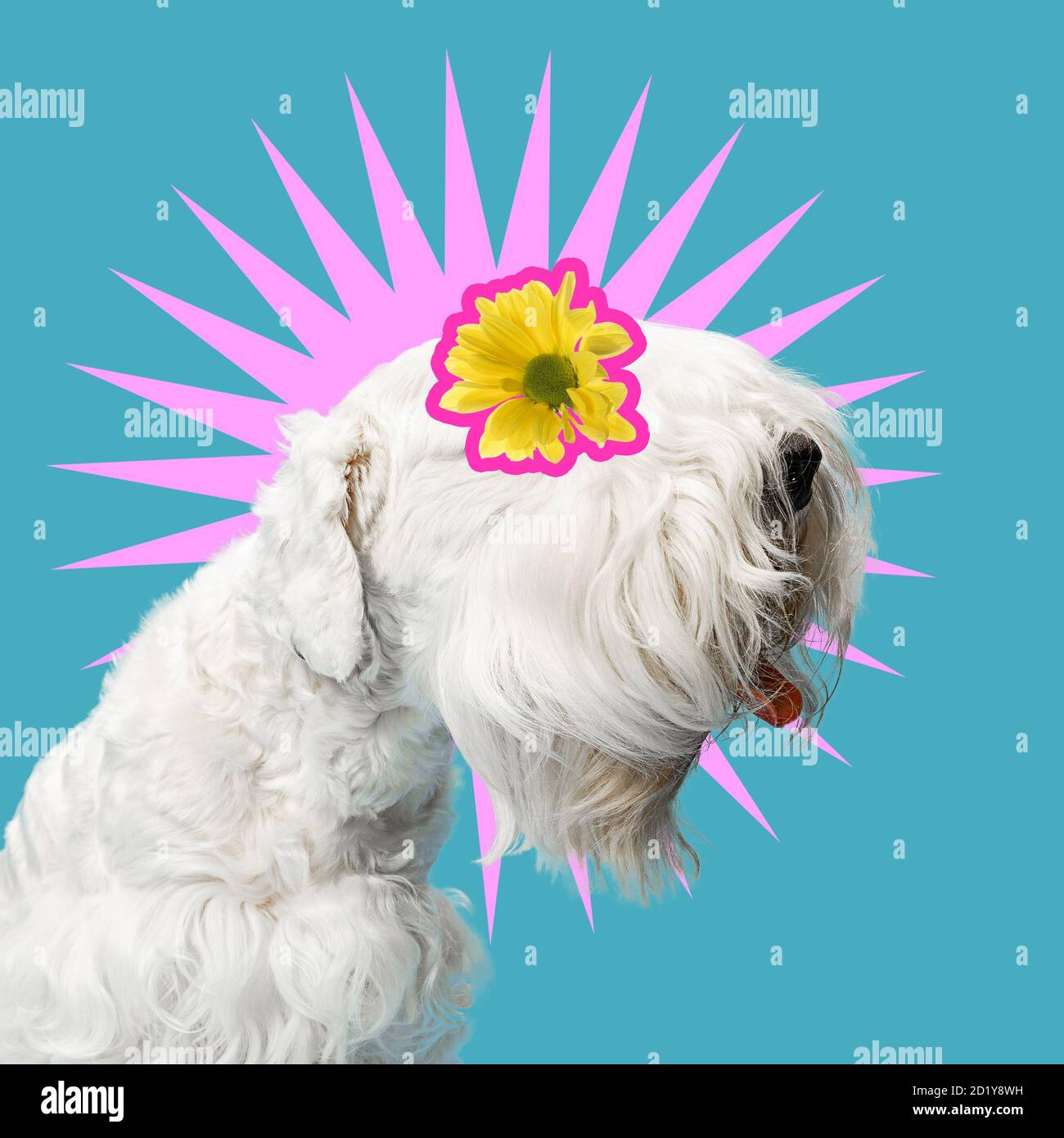 Flower look. Modern design. Contemporary art collage with cute dog and ...