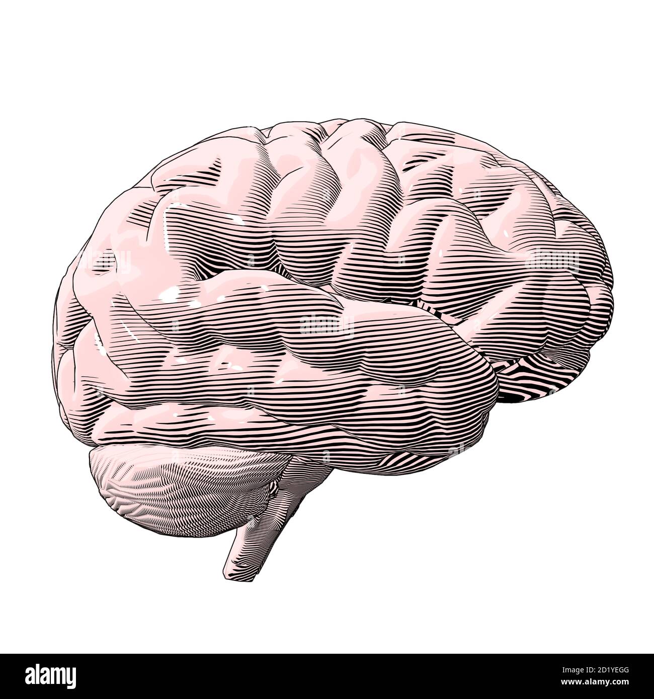 Cartoon head brain symbol Cut Out Stock Images & Pictures - Alamy