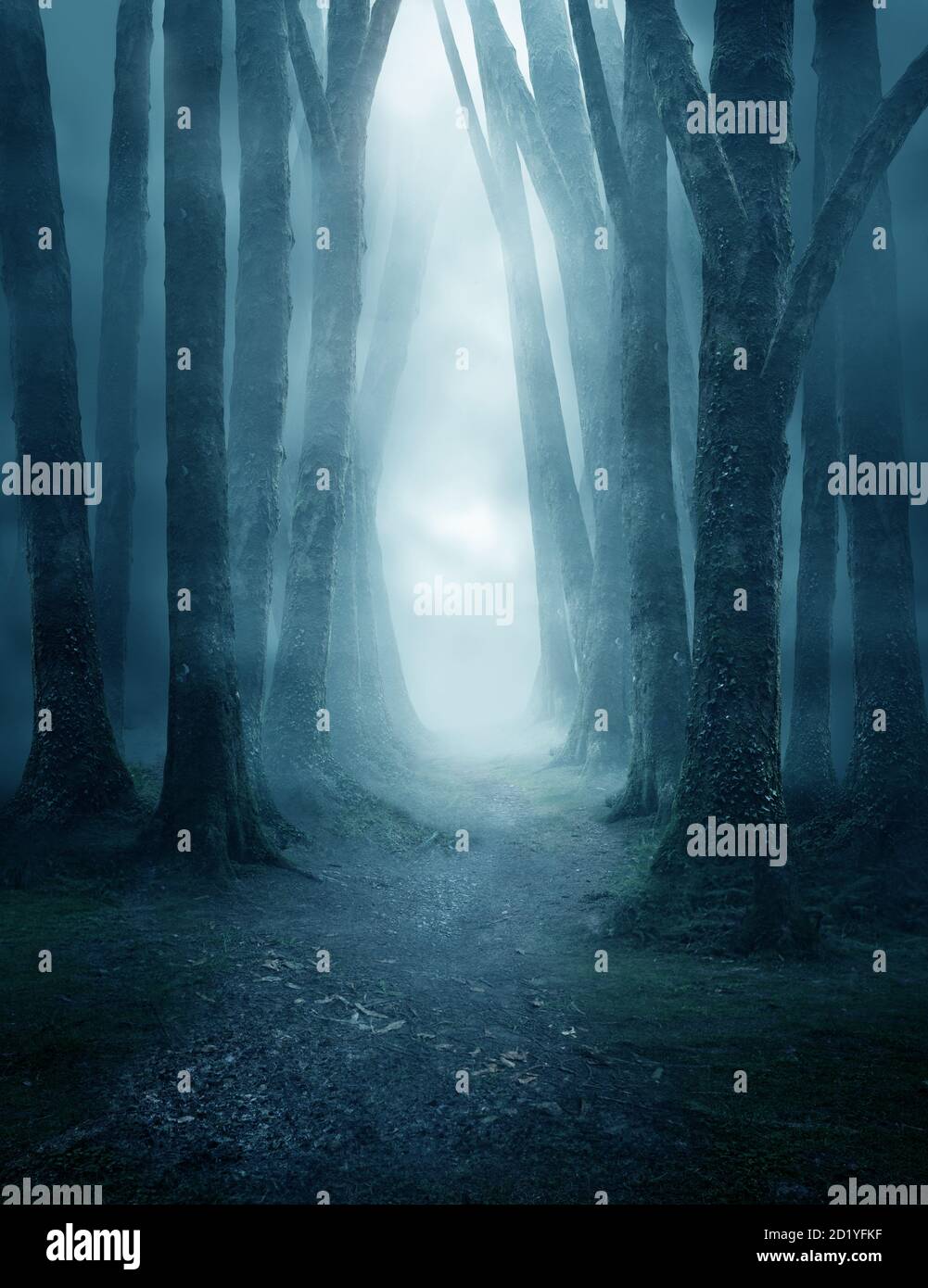 A dark and moody forest pathway covered in mist. Photo composite Stock ...