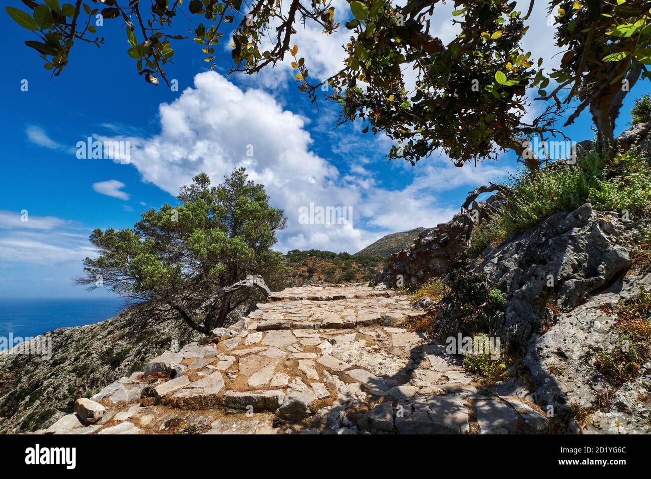 Typical Greek landscape. Paved path, hills, bushes. Big olive, mastic ...