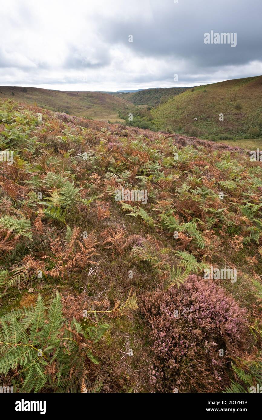 Jugger howe moor hi-res stock photography and images - Alamy