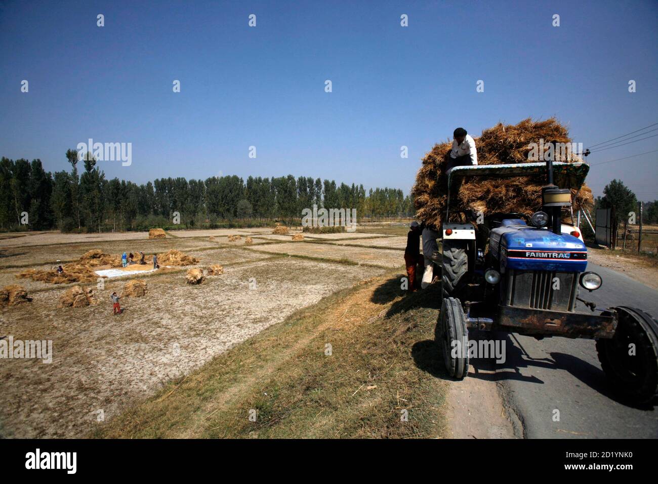 Load of grass hi-res stock photography and images - Alamy