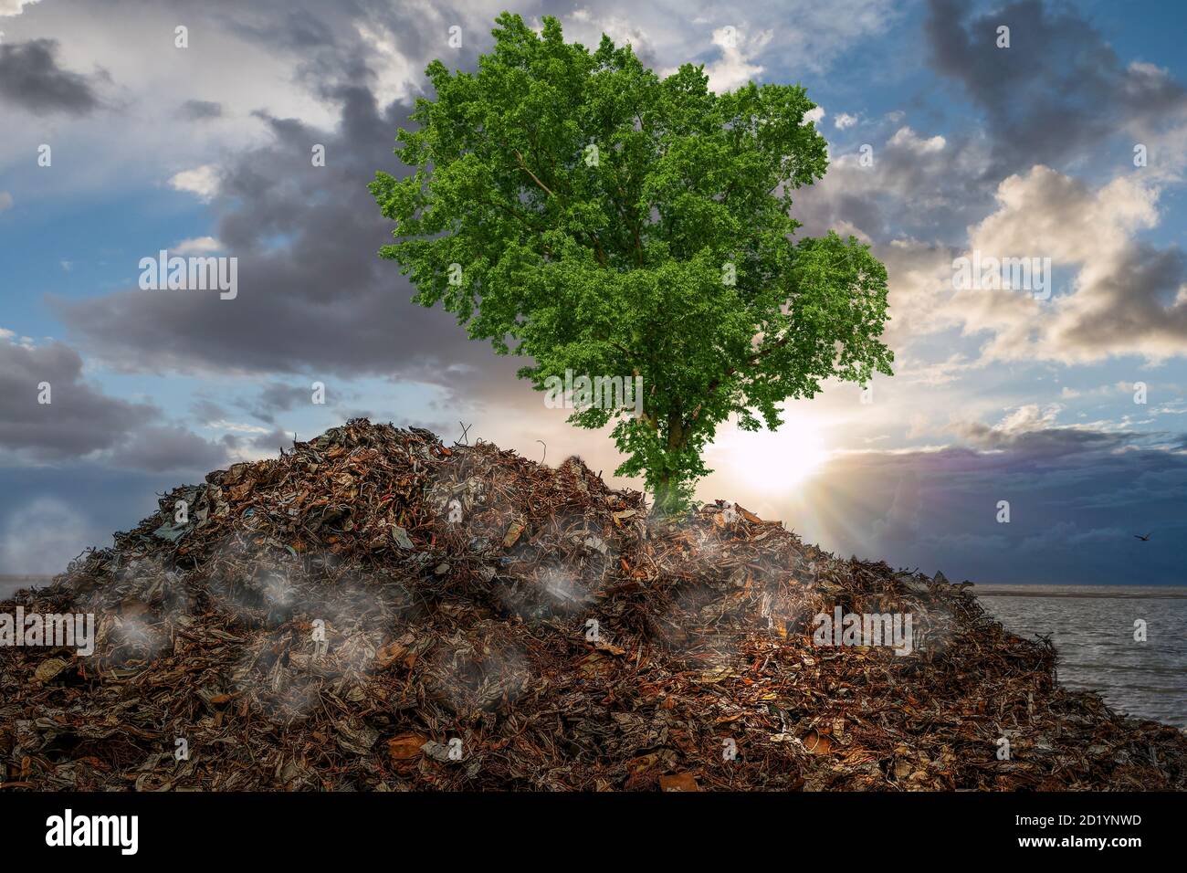 Destruction by nature hi-res stock photography and images - Alamy