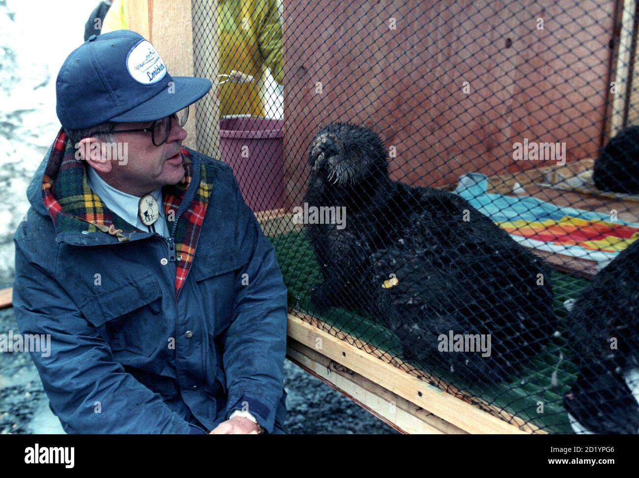 Exxon valdez oil spill otter hi-res stock photography and images - Alamy