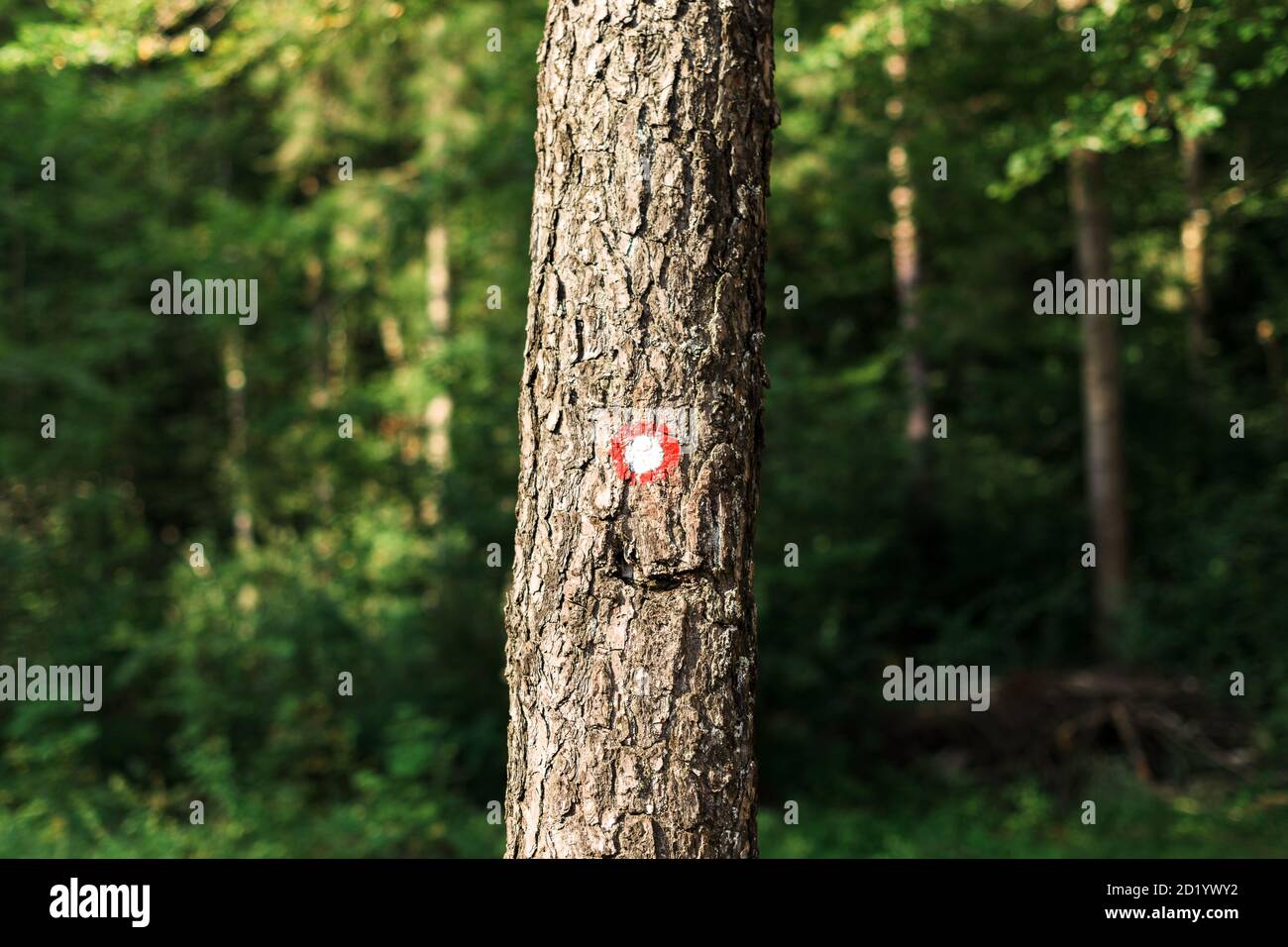 Tree signage hi-res stock photography and images - Alamy
