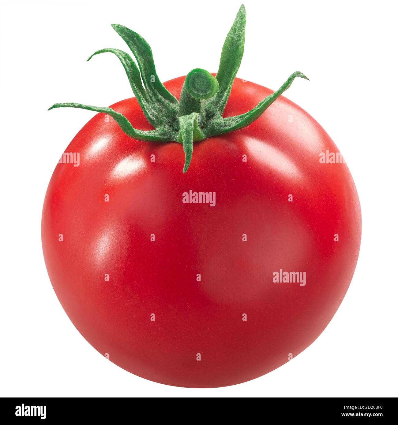 Kecskemeti Jubileum heirloom tomato, ripe with sepal, isolated Stock ...