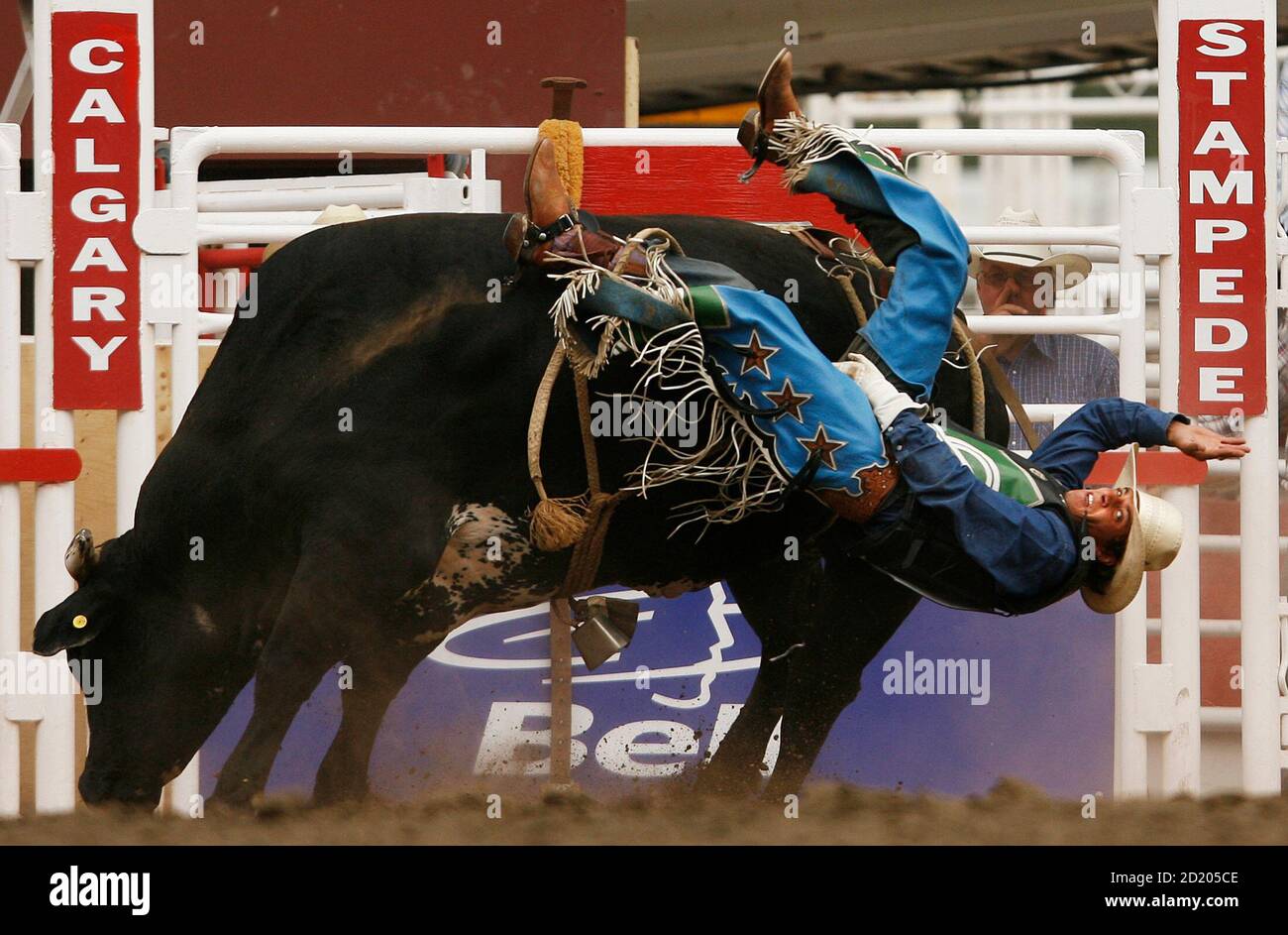 Brian canter bull hi-res stock photography and images - Alamy