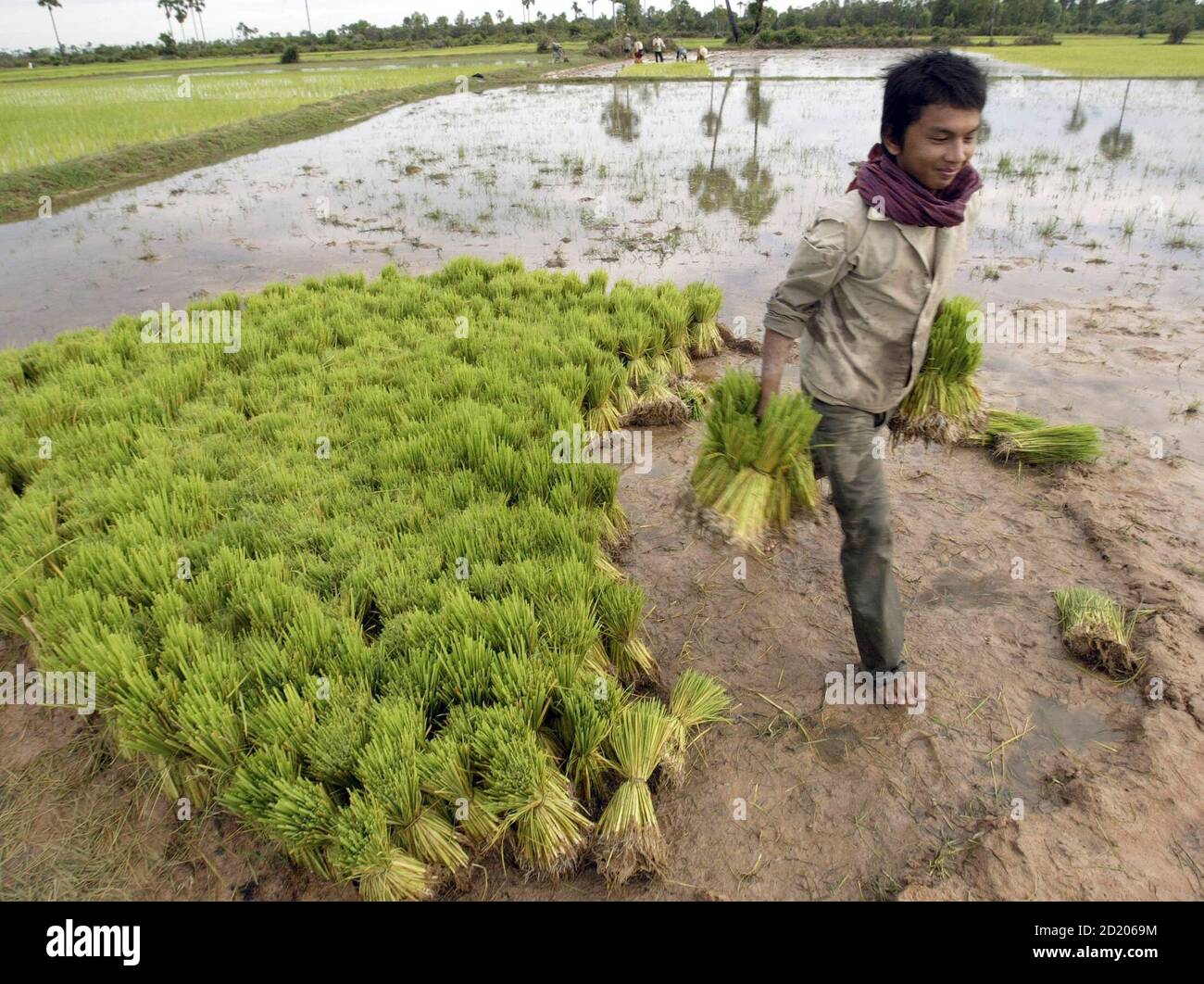 Rice and the khmer rouge hi-res stock photography and images - Alamy