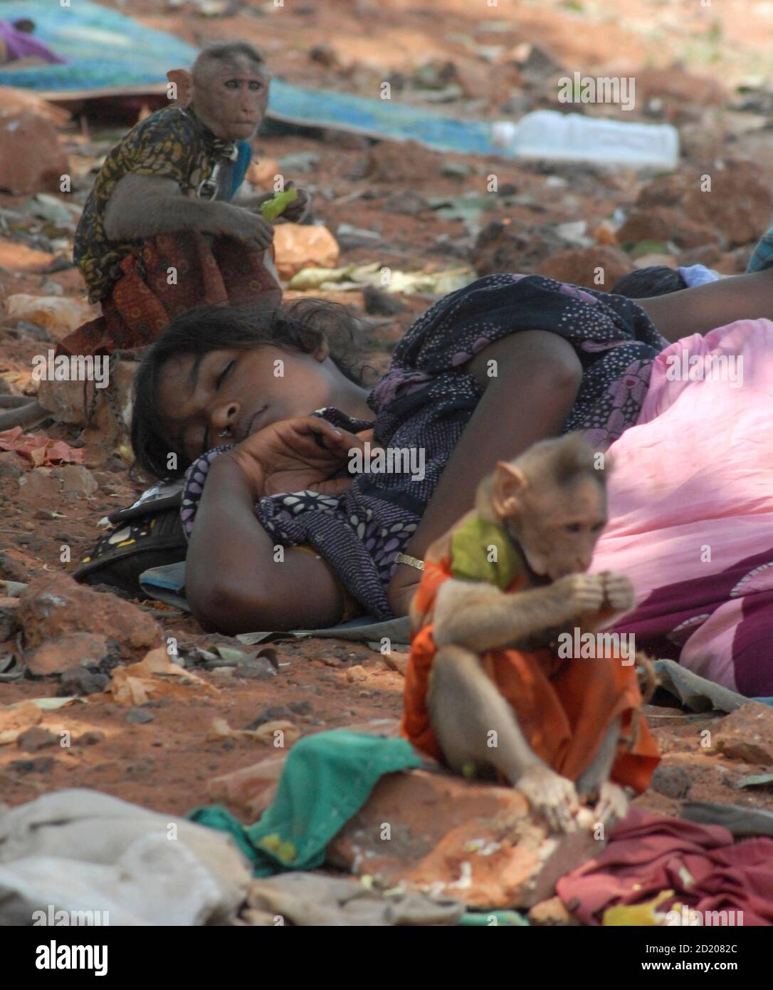 India hot nap hi-res stock photography and images - Alamy