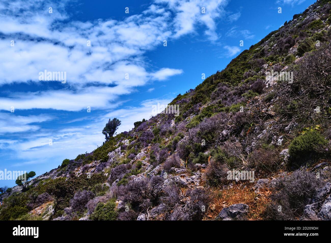 Typical greek landscape hi-res stock photography and images - Alamy
